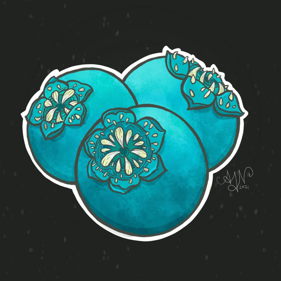 Art Challenges – ALYSSA VOEGELE